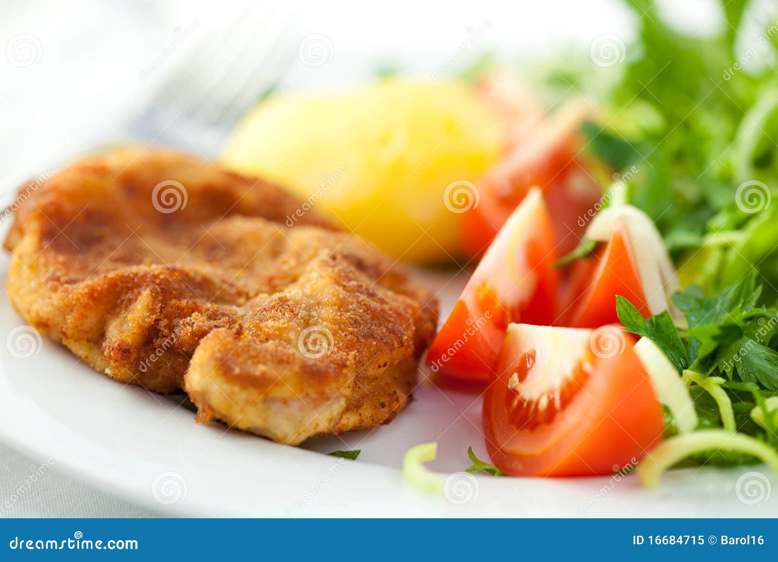 Schnitzel with Fresh Vegetables Stock Image - Image of dinner ...