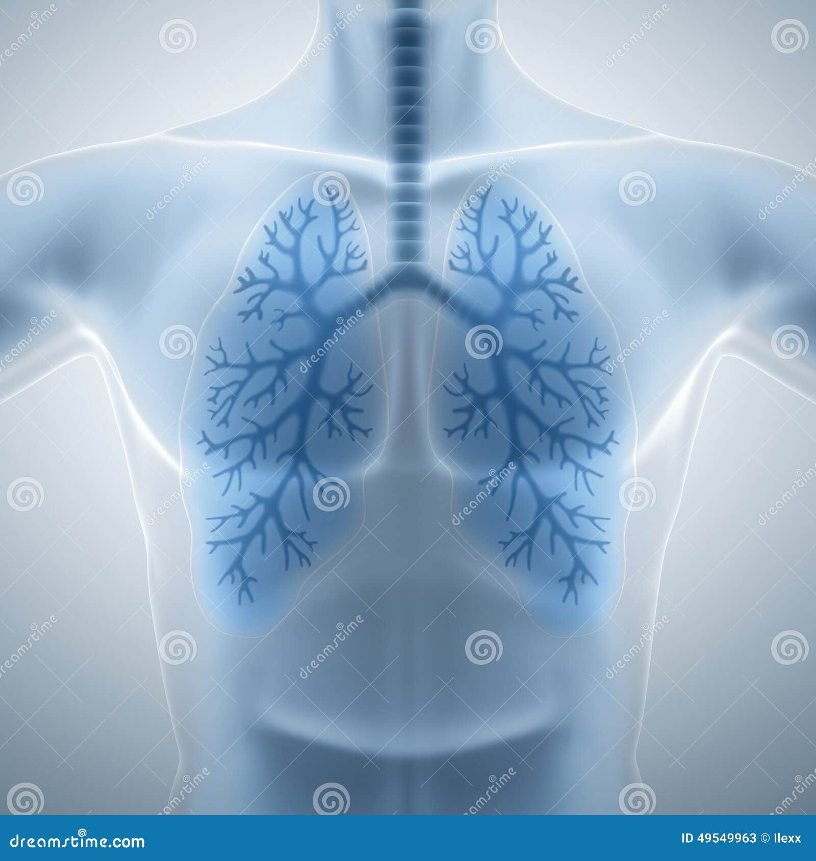 Schone en gezonde longen stock illustratie. Illustration of beeld ...