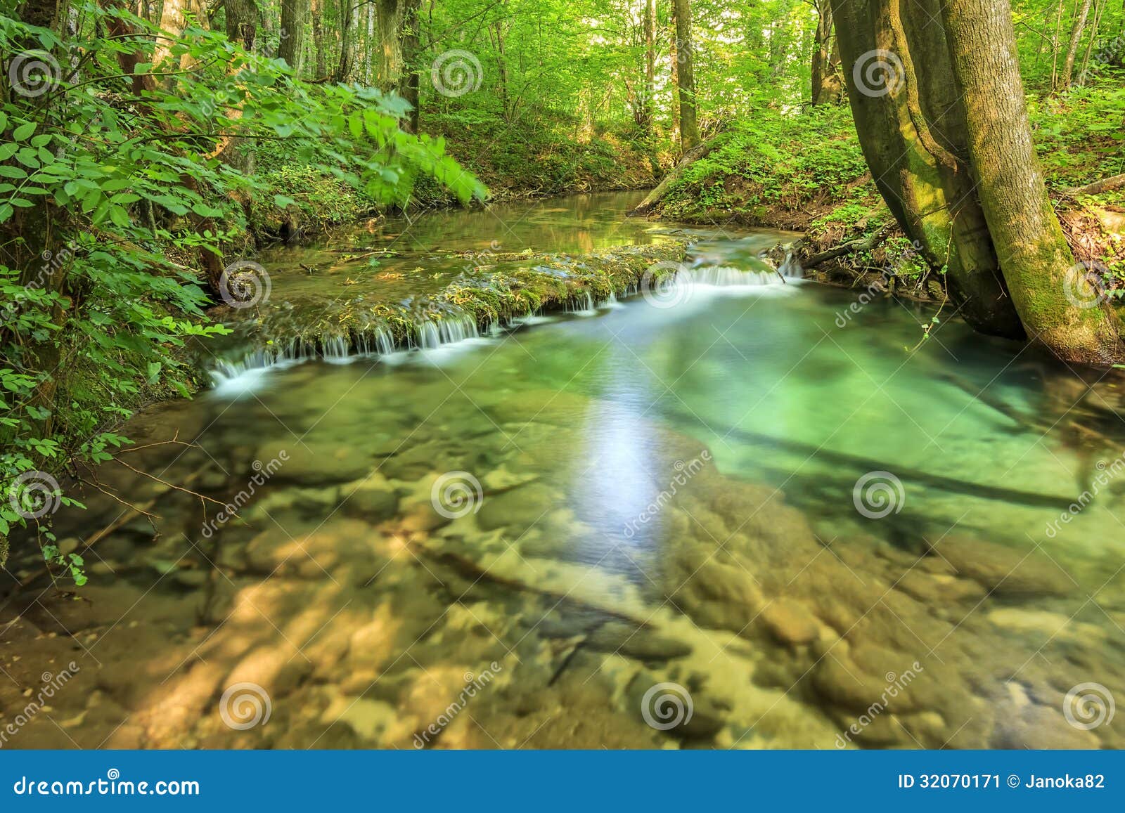 Schone Rivier En Waterval in Bos Stock Afbeelding - Image of beek, park ...