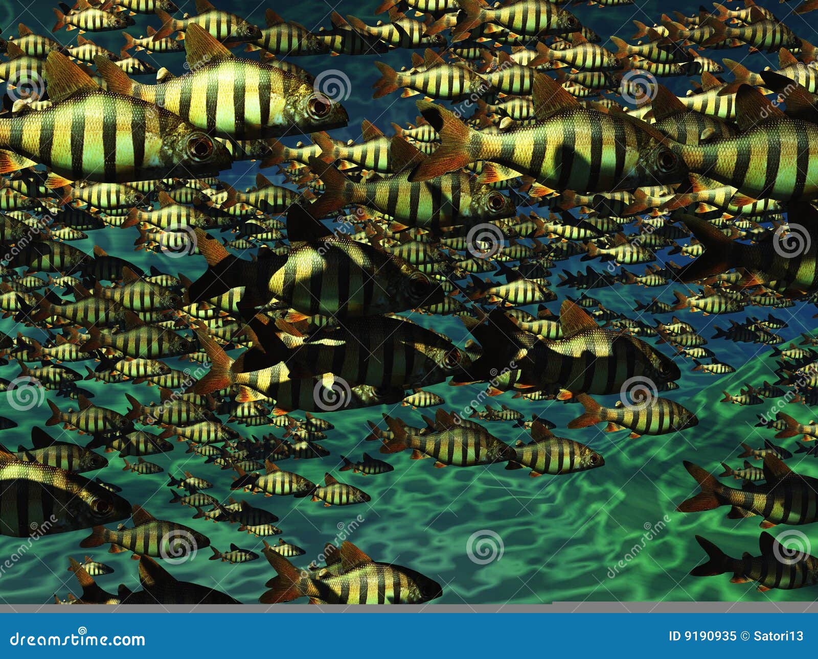 School of angelfish stock illustration. Illustration of colorful - 9190935