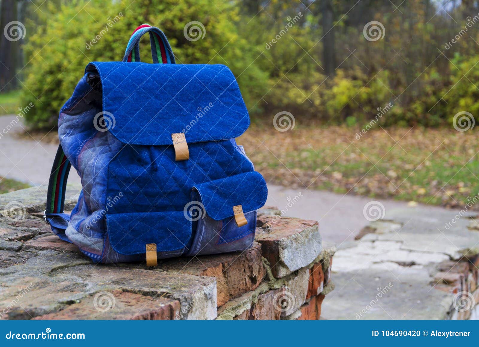 School Backpack on Brick Wall Against the Forest Stock Photo - Image of ...