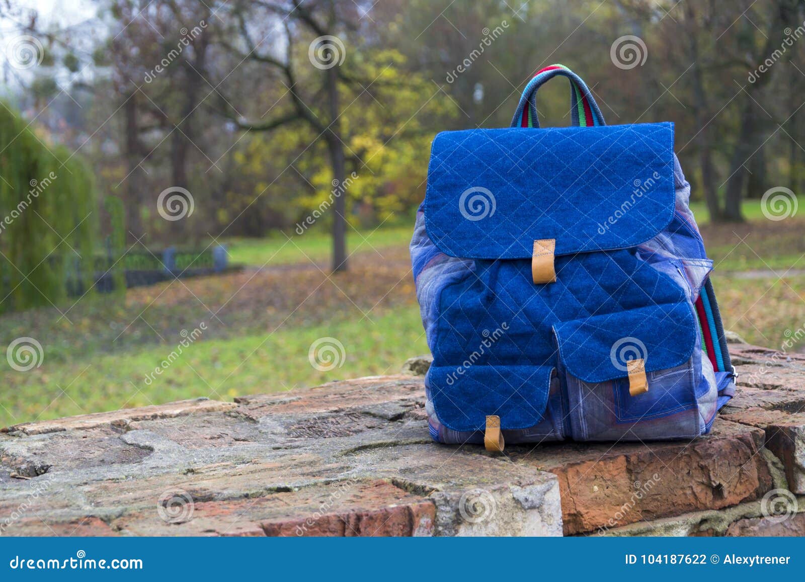 School Backpack on Brick Wall Against the Forest Stock Photo - Image of ...