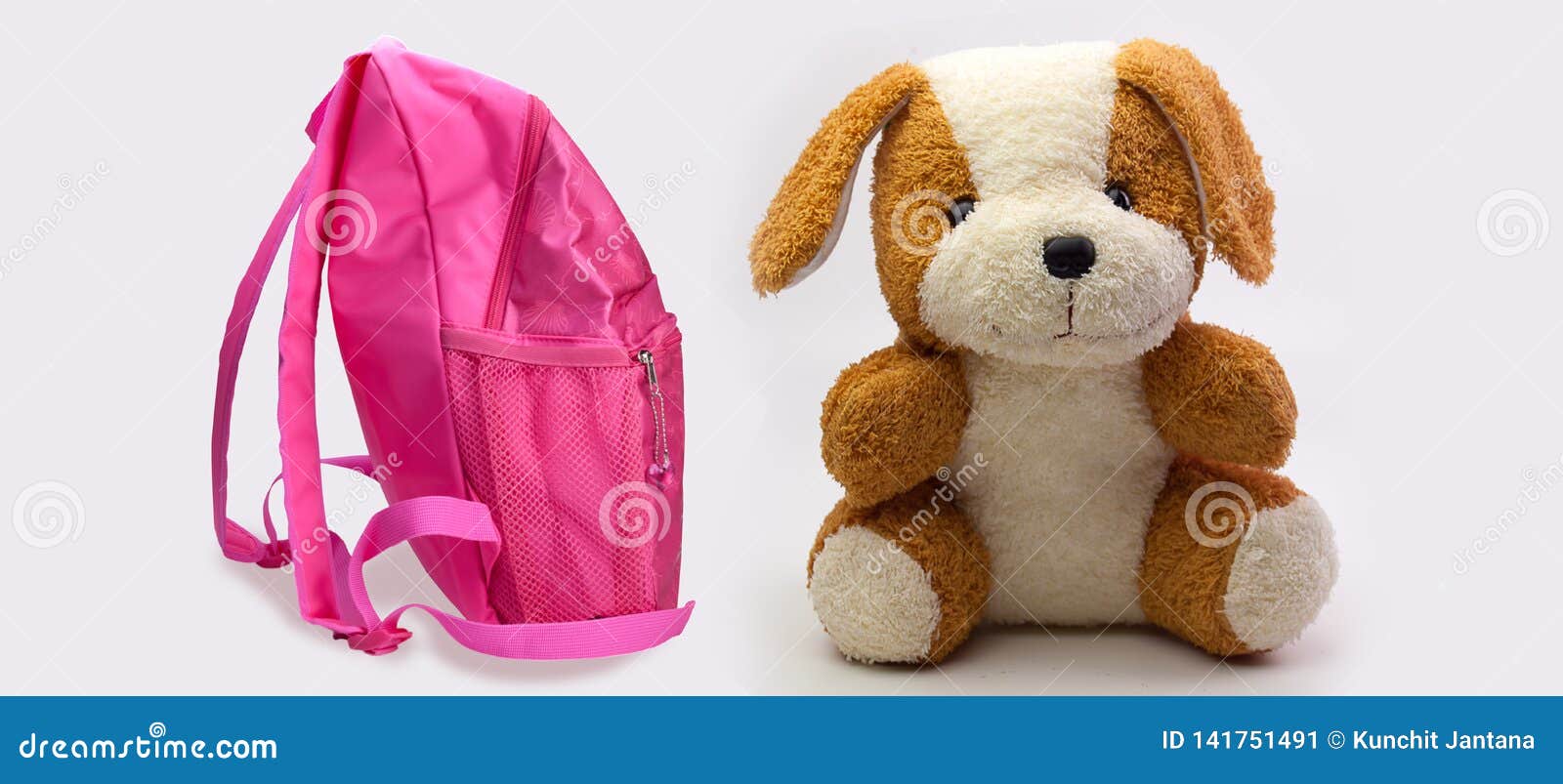 School Backpack for Girls and Dog Doll Stock Image - Image of ...