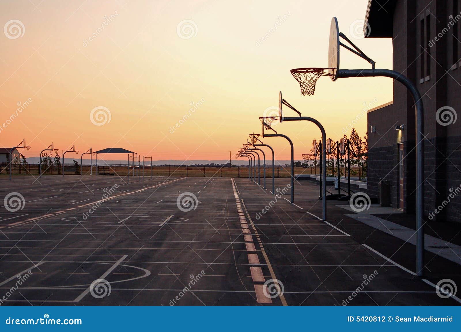 School Bus On Blacktop Stock Photo | CartoonDealer.com #25607490