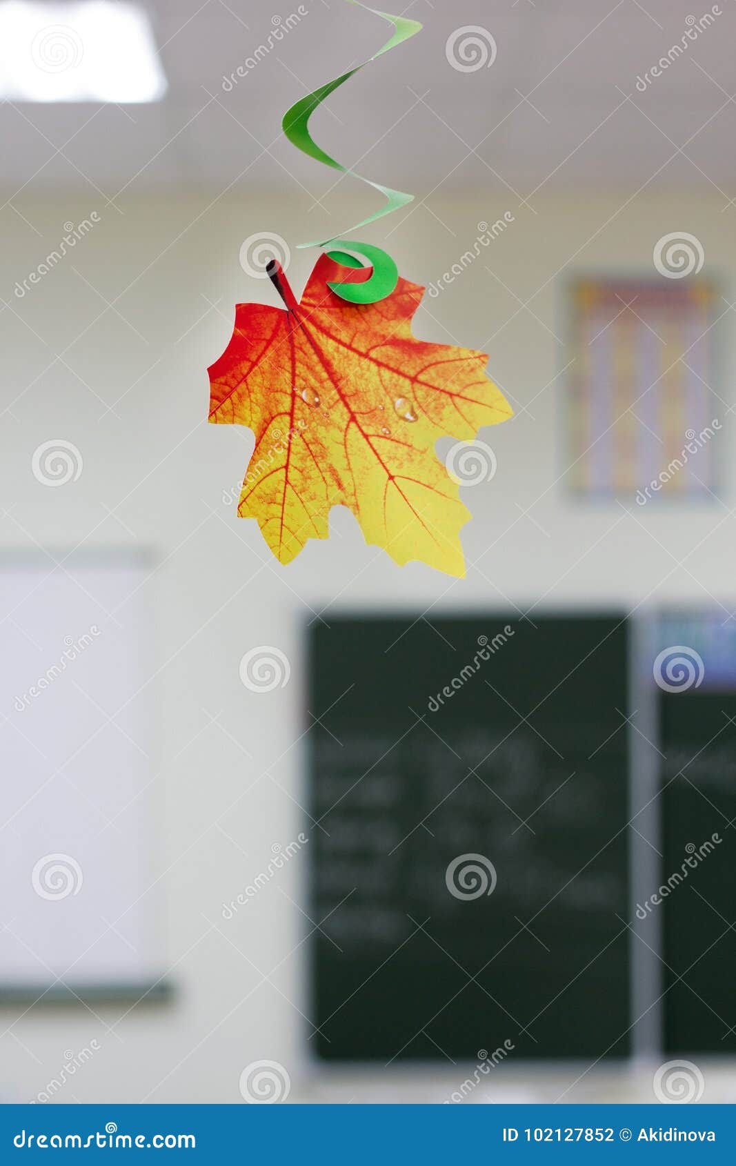 School Board with Autumn Leave. School Background. Classroom . Stock ...