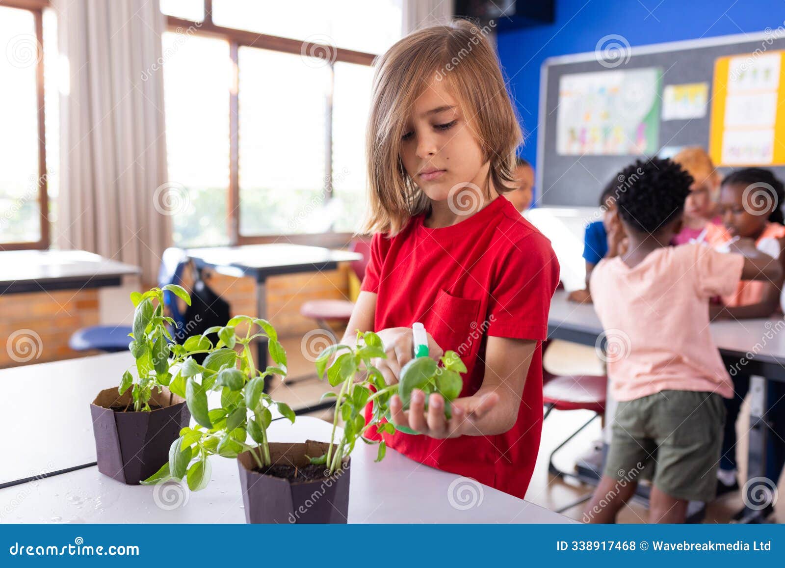 In School, Boy Examining Plant in Classroom, Learning about Botany ...