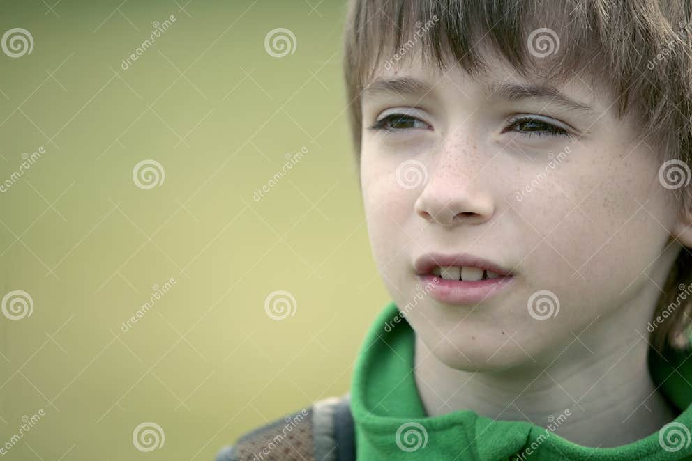 School boy face stock photo. Image of look, education - 24108490