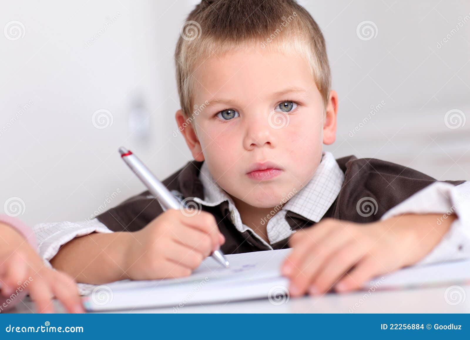 School boy portrait stock photo. Image of homework, table - 22256884