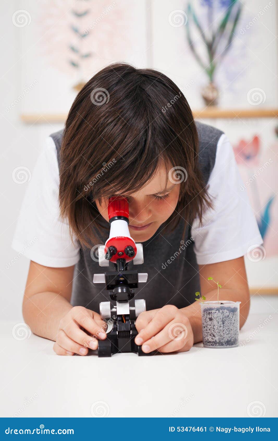 School Boy in Science Class with Microscope Stock Image - Image of ...