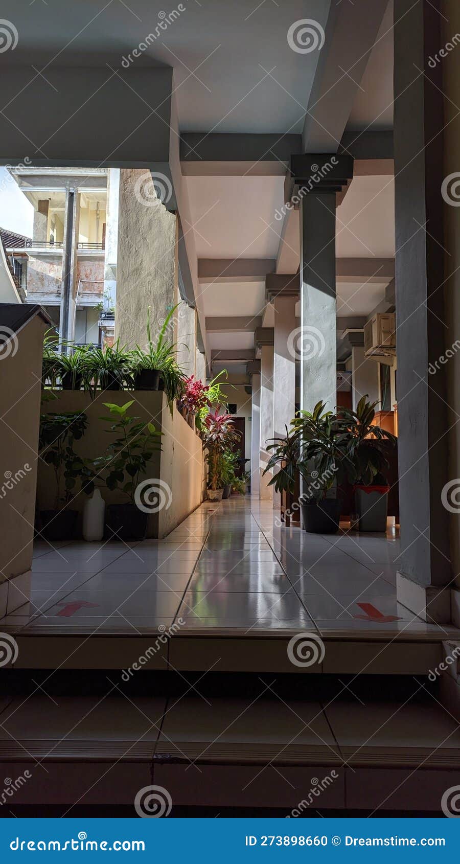 School building hallway stock photo. Image of building - 273898660