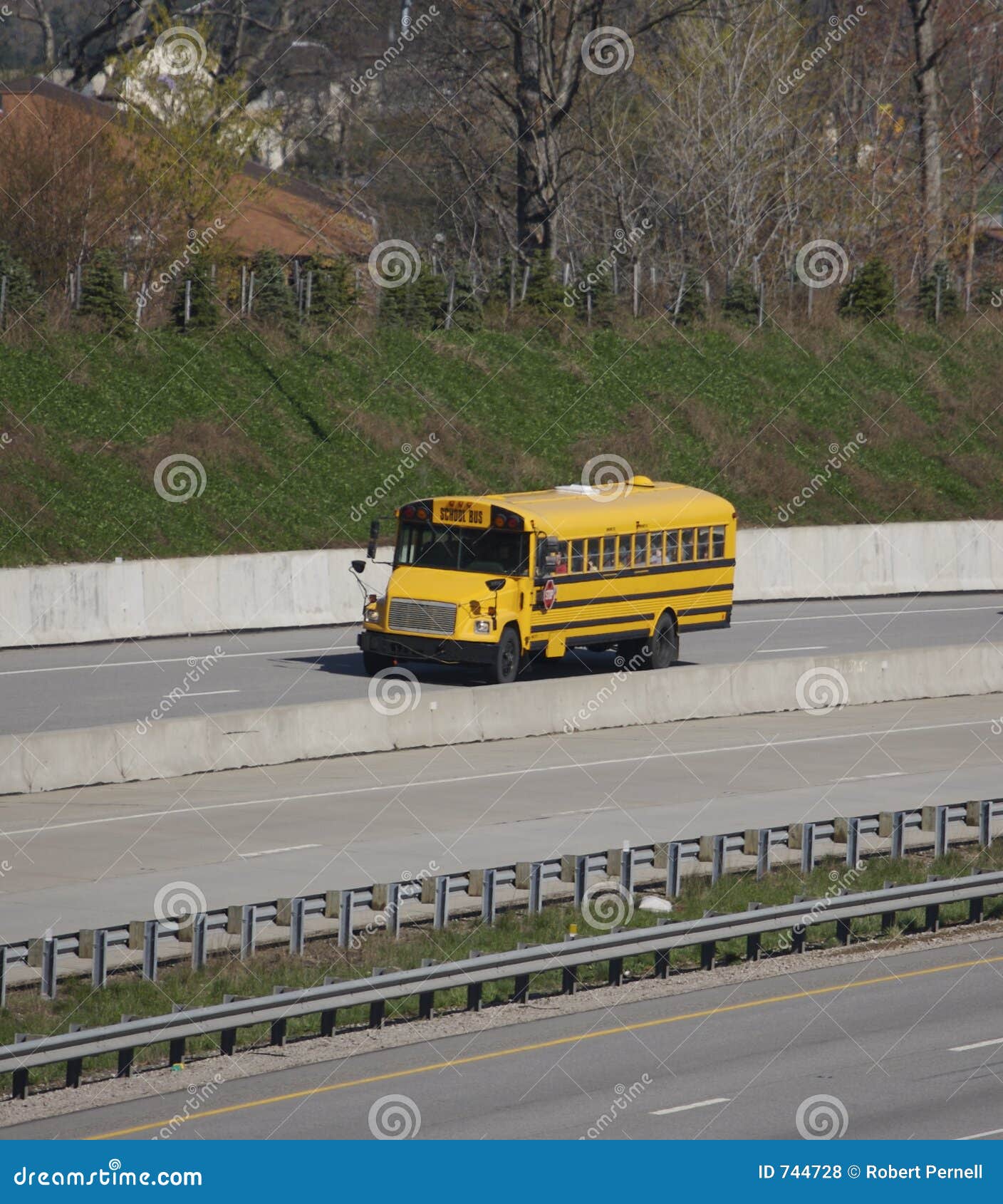 School Bus Picture. Image: 744728