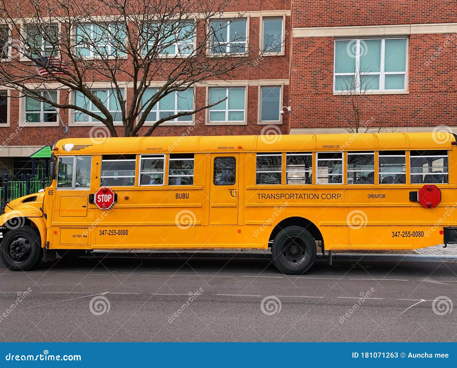 School Bus in America - Image Stock Image - Image of school, yellow ...