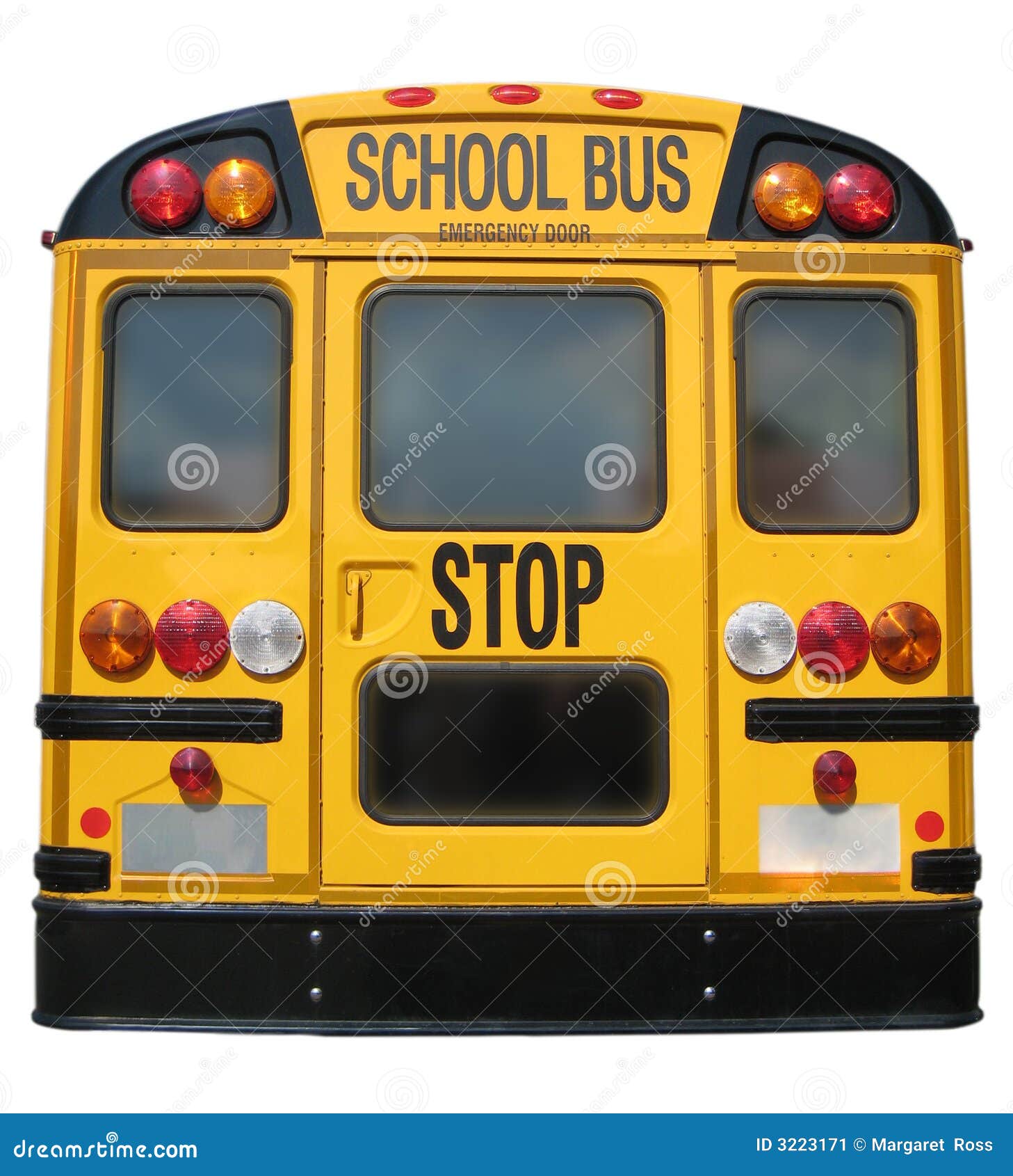 School Bus Back View