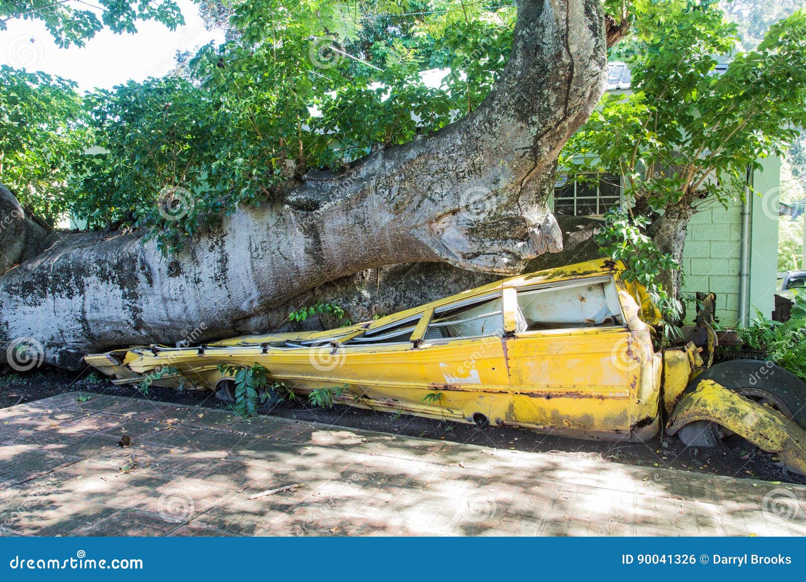 School Bus Crushed by Tree stock photo. Image of hurricane - 90041326