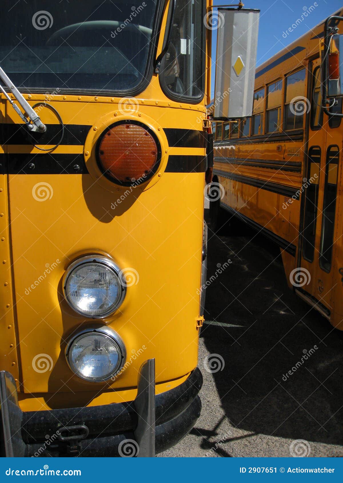 School Bus Turn Stock Photos - Free & Royalty-Free Stock Photos from ...