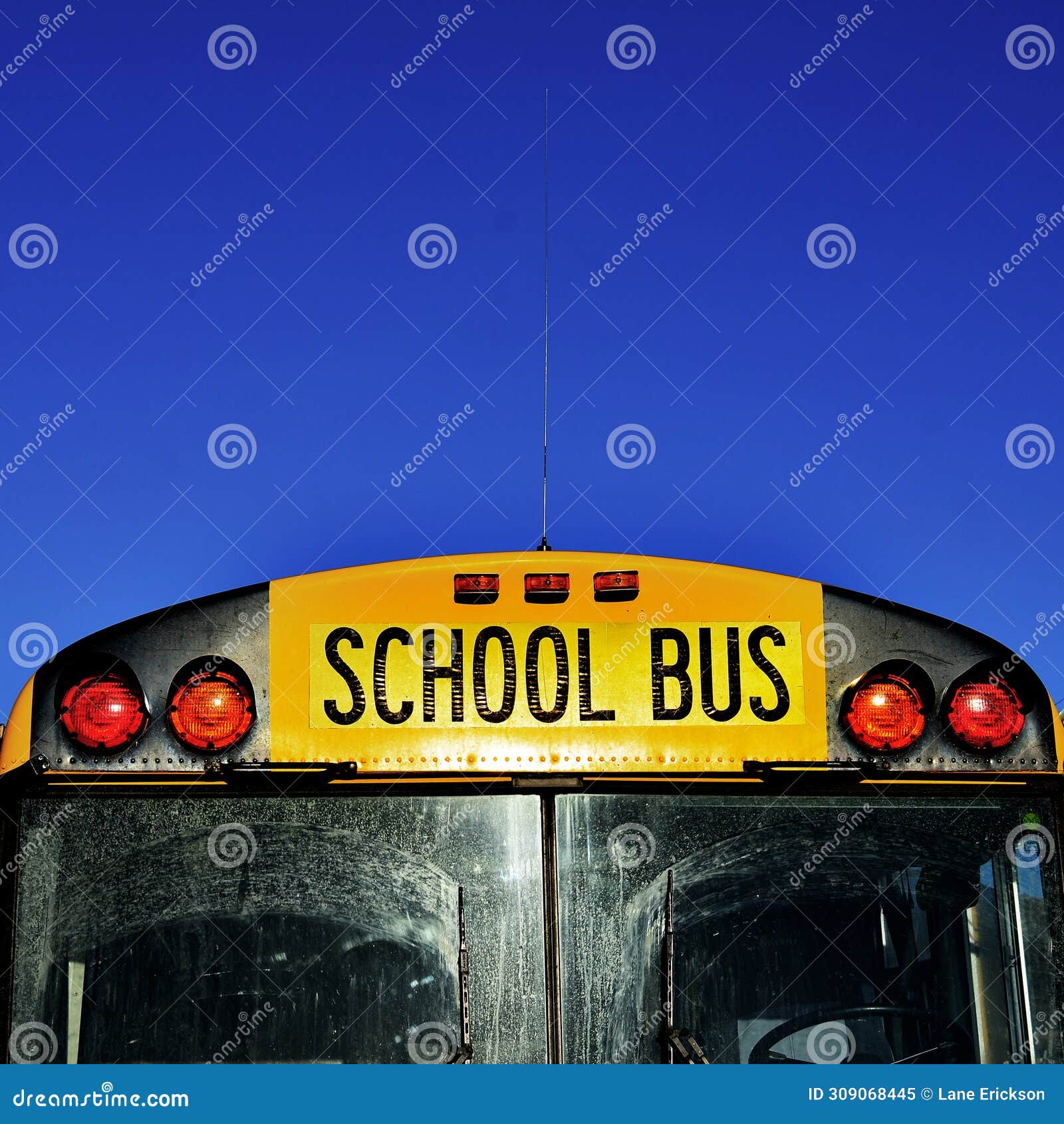 School Bus Detail stock image. Image of schooling, drive - 309068445