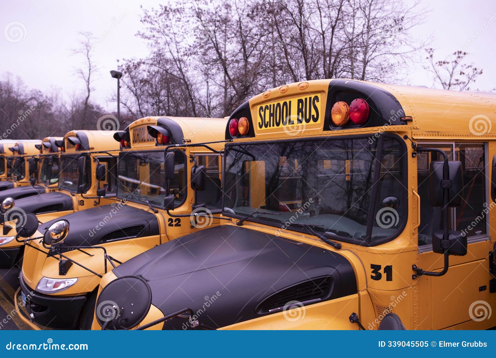 School Bus Driver Checking Multiple Aspects of the Bus before Route ...