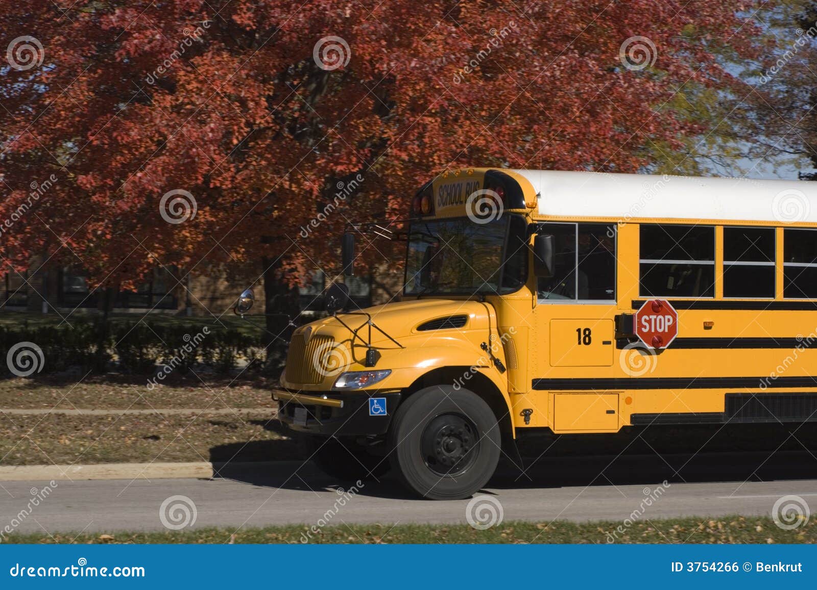 School Bus and fall colors stock photo. Image of road - 3754266