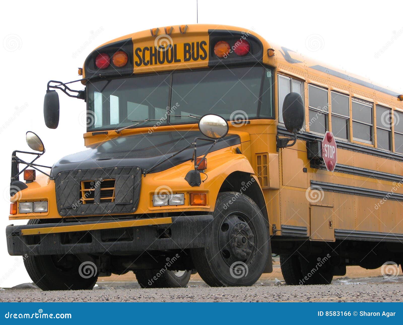 School Bus - front end stock photo. Image of knowledge - 8583166