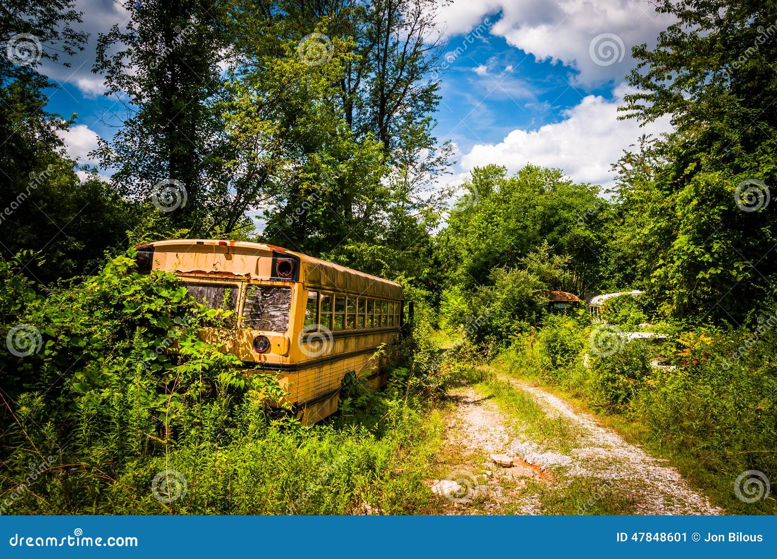 School bus in a junkyard. stock image. Image of junk - 47848601