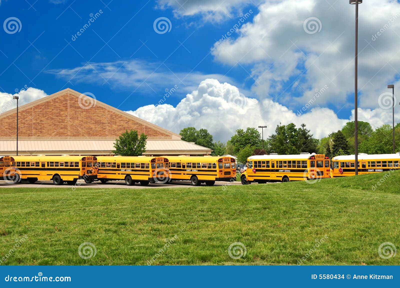 School Bus Lineup in Spring Stock Photo - Image of elementary, line ...