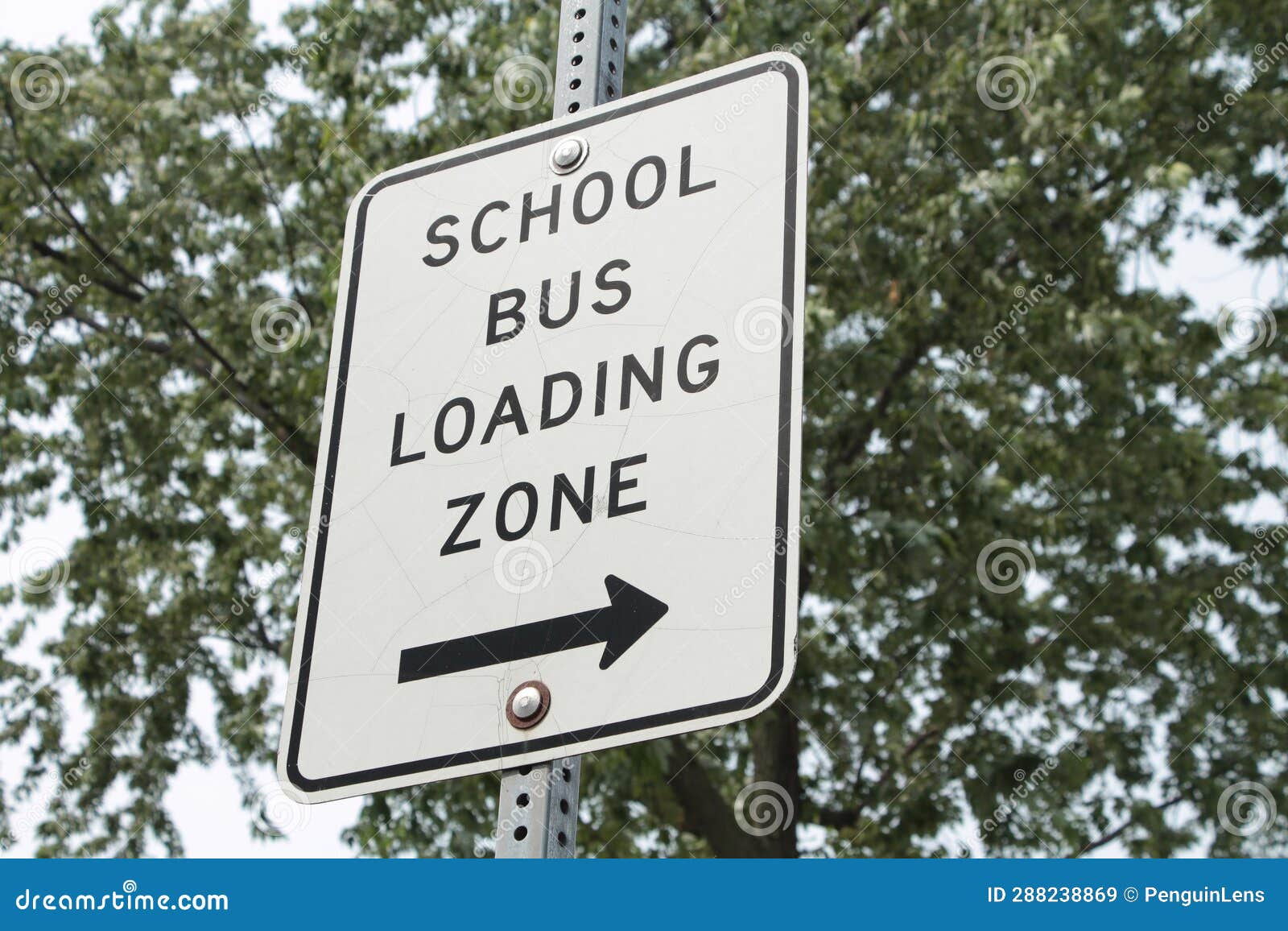 School Bus Loading Zone Vertical Rectangle Sign with Arrow Pointing ...