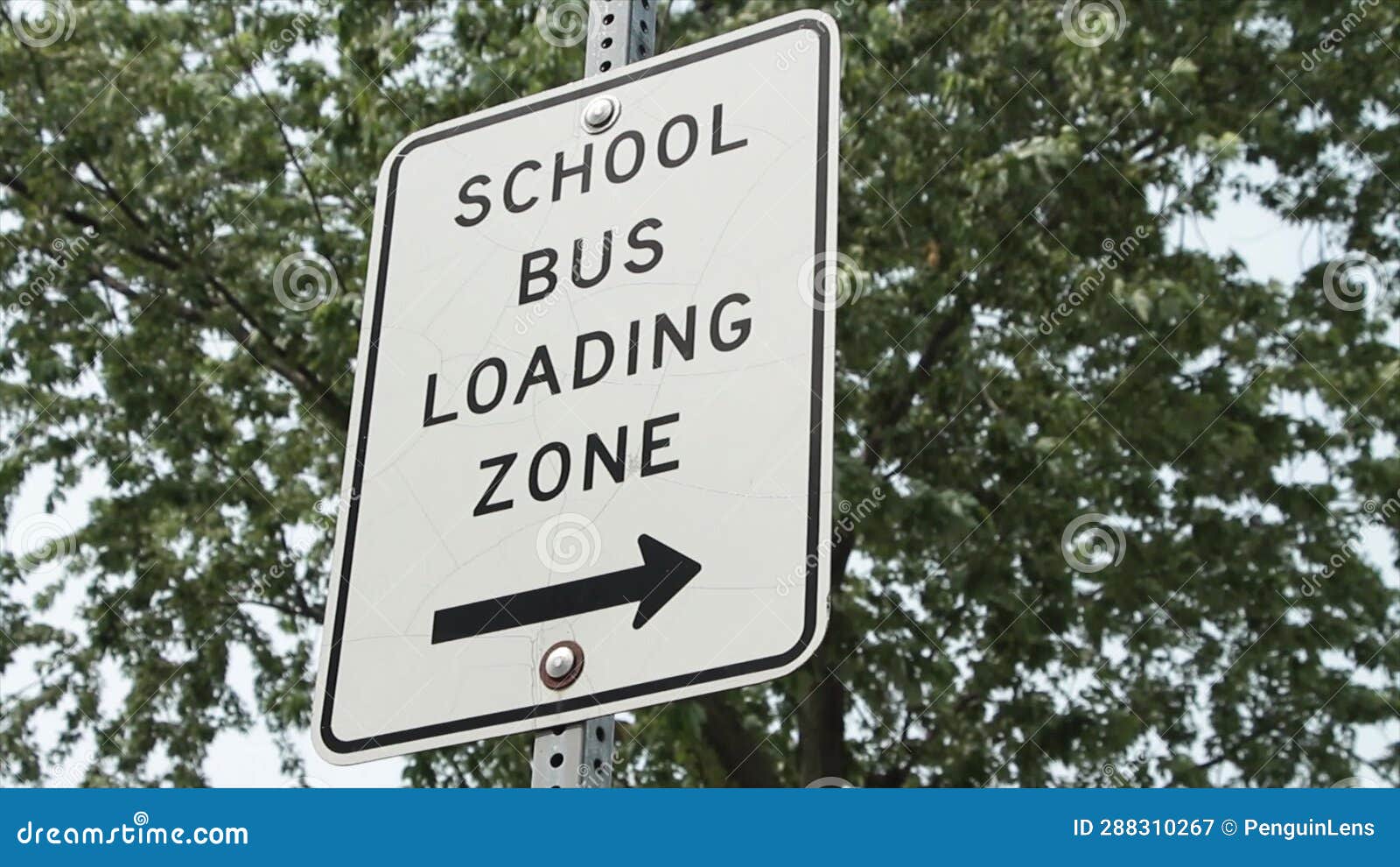 School Bus Loading Zone Vertical Rectangle Sign with Arrow Pointing ...