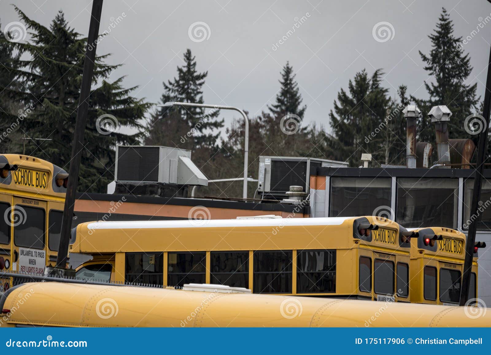 School bus lot #10 stock photo. Image of state, transportation - 175117906