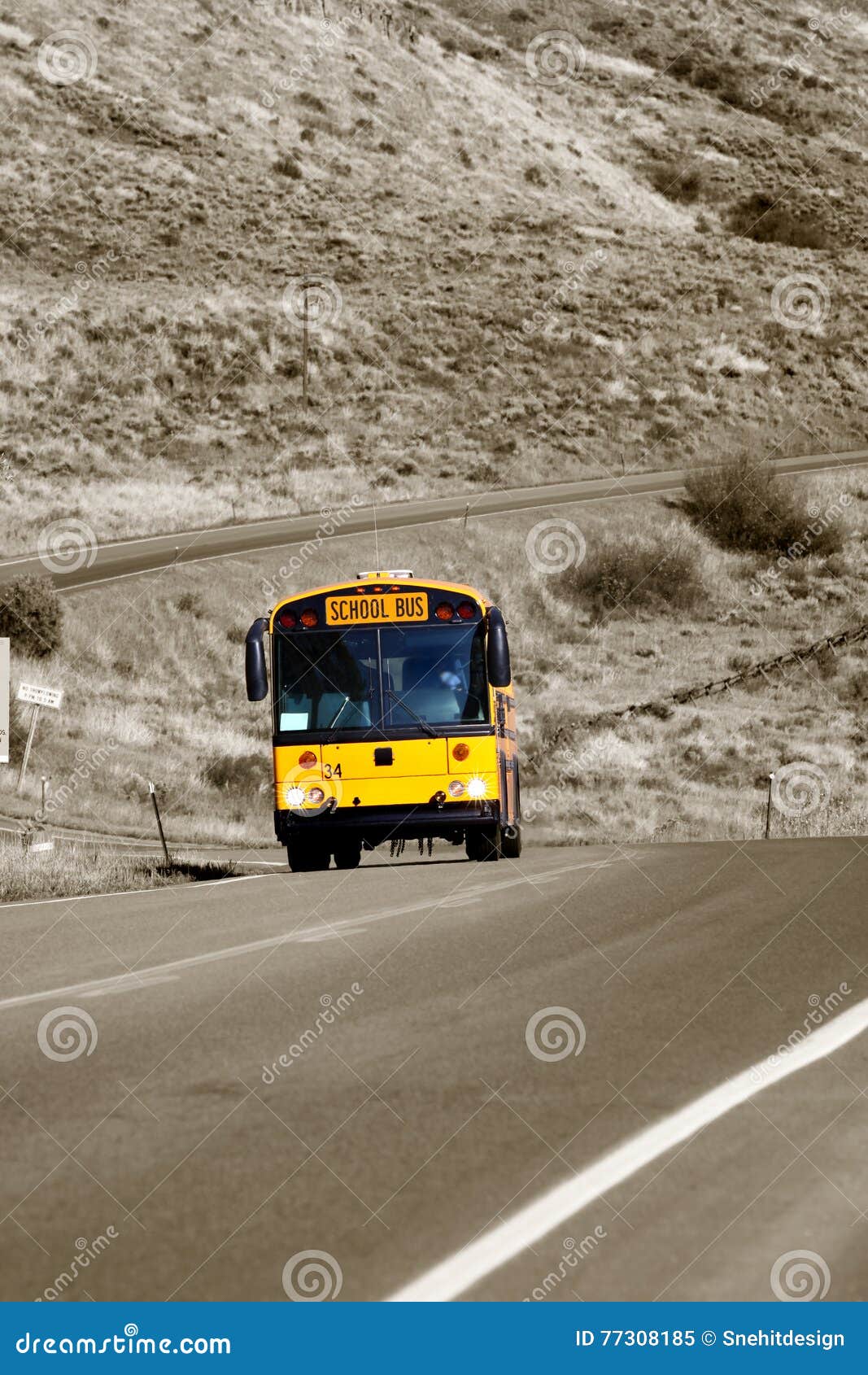 School bus stock image. Image of service, denver, grass - 77308185