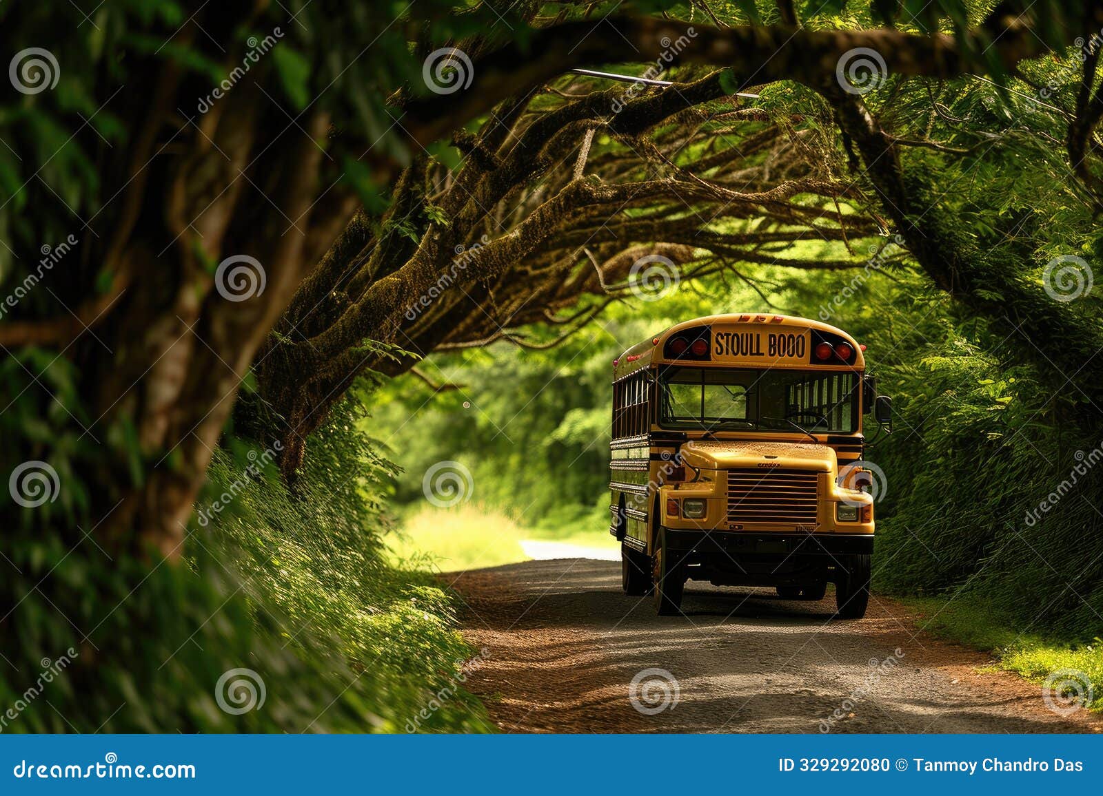 A School Bus Passing through a Path of Flourishing Trees, Showcasing ...