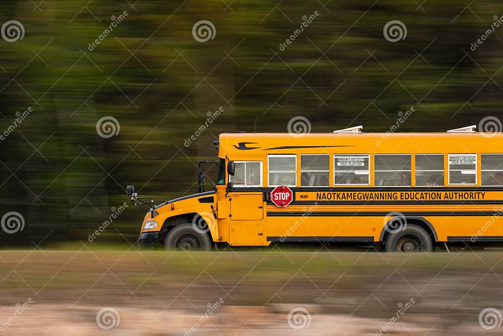 School Bus on the Road editorial stock photo. Image of road - 154639543