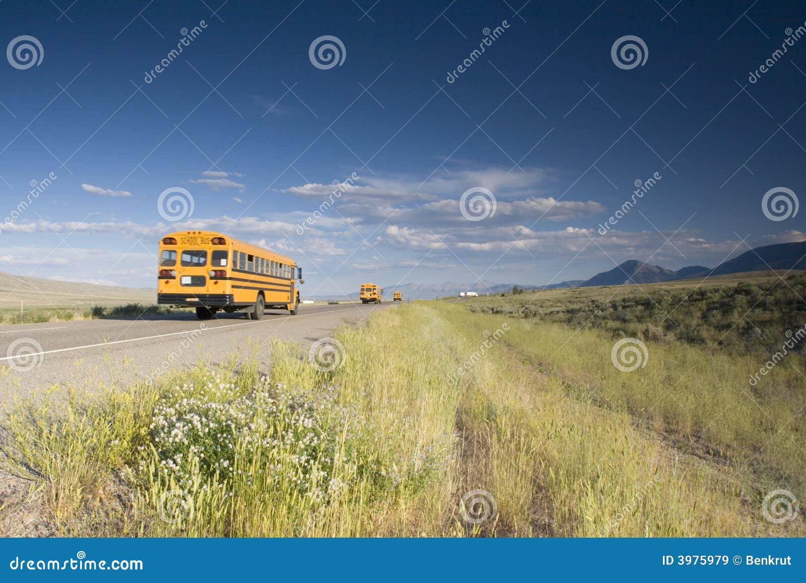 School bus on the road stock image. Image of yellow, driving - 3975979