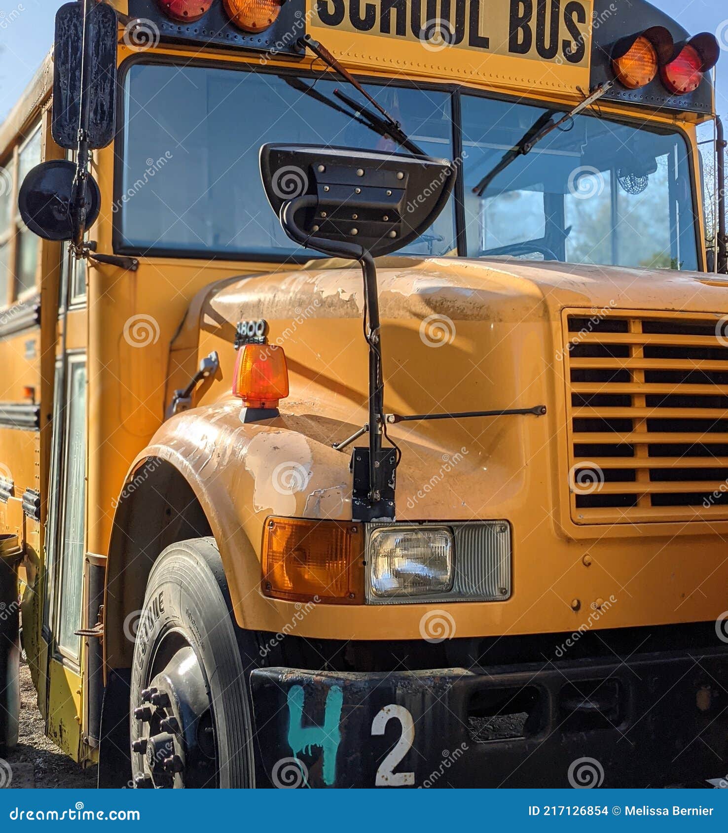 School Bus 42 stock photo. Image of wheel, truck, bluebird - 217126854