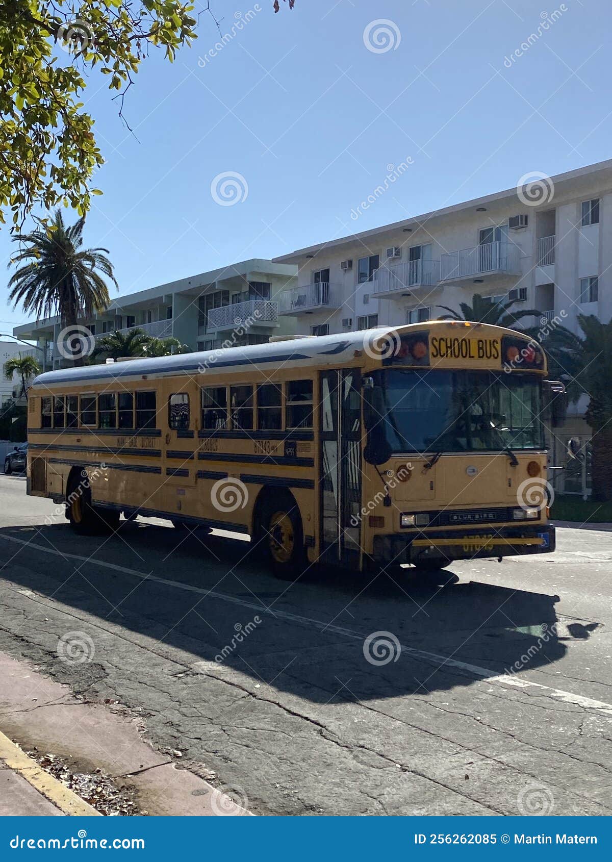 School bus editorial image. Image of transport, street - 256262085