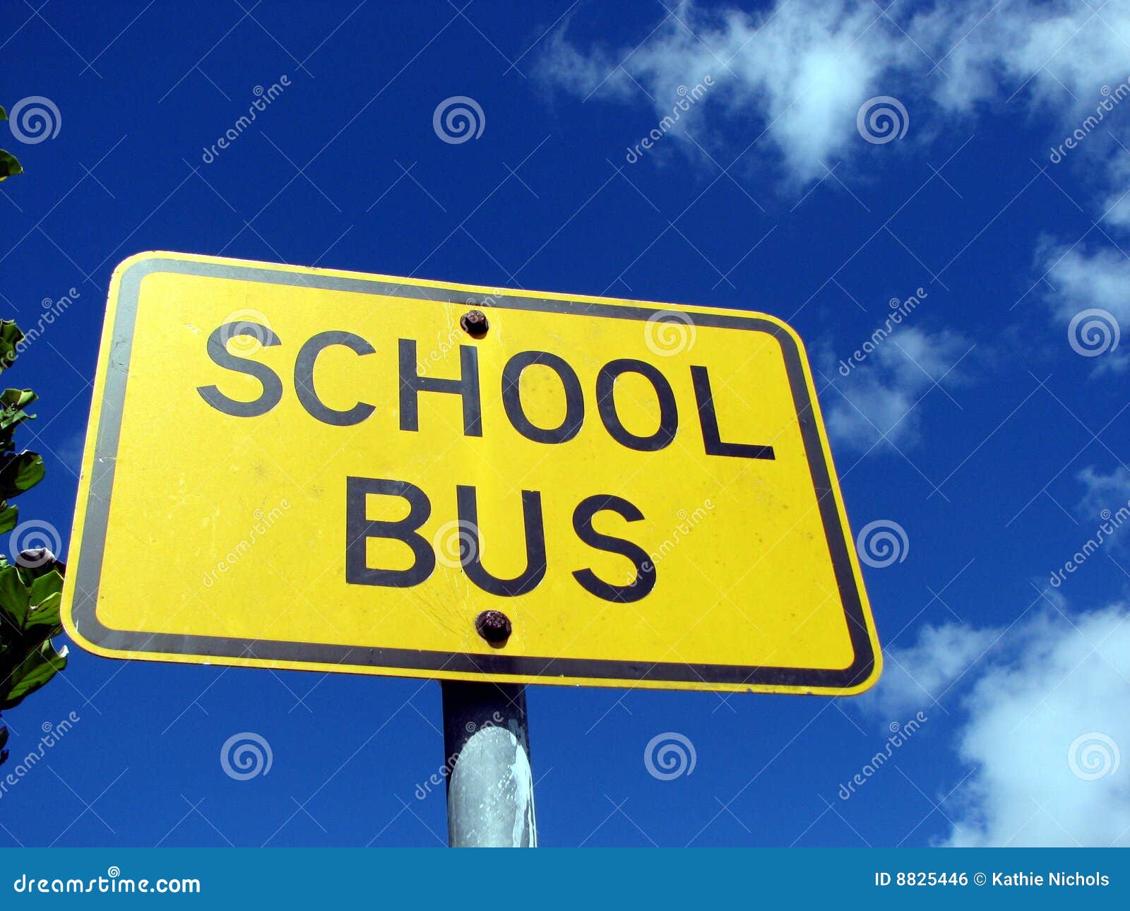 School Bus Sign stock photo. Image of travel, blue, transport - 8825446
