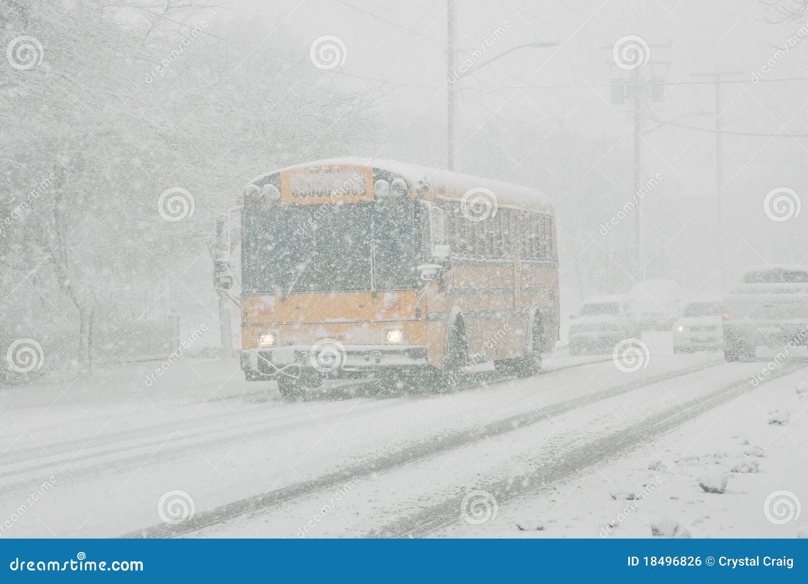 Snow School Bus Rain
