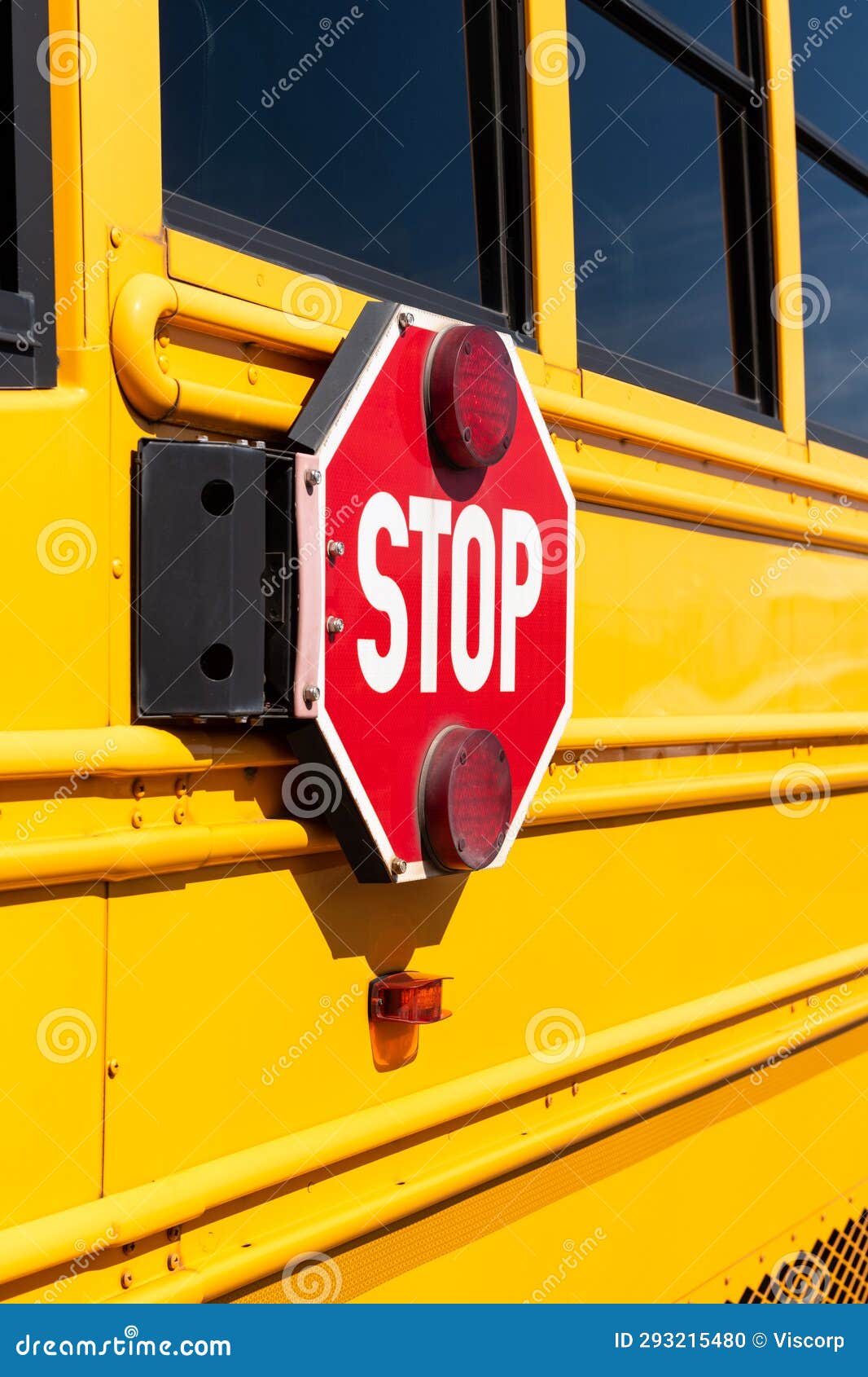 School Bus Stop Sign stock photo. Image of community - 293215480