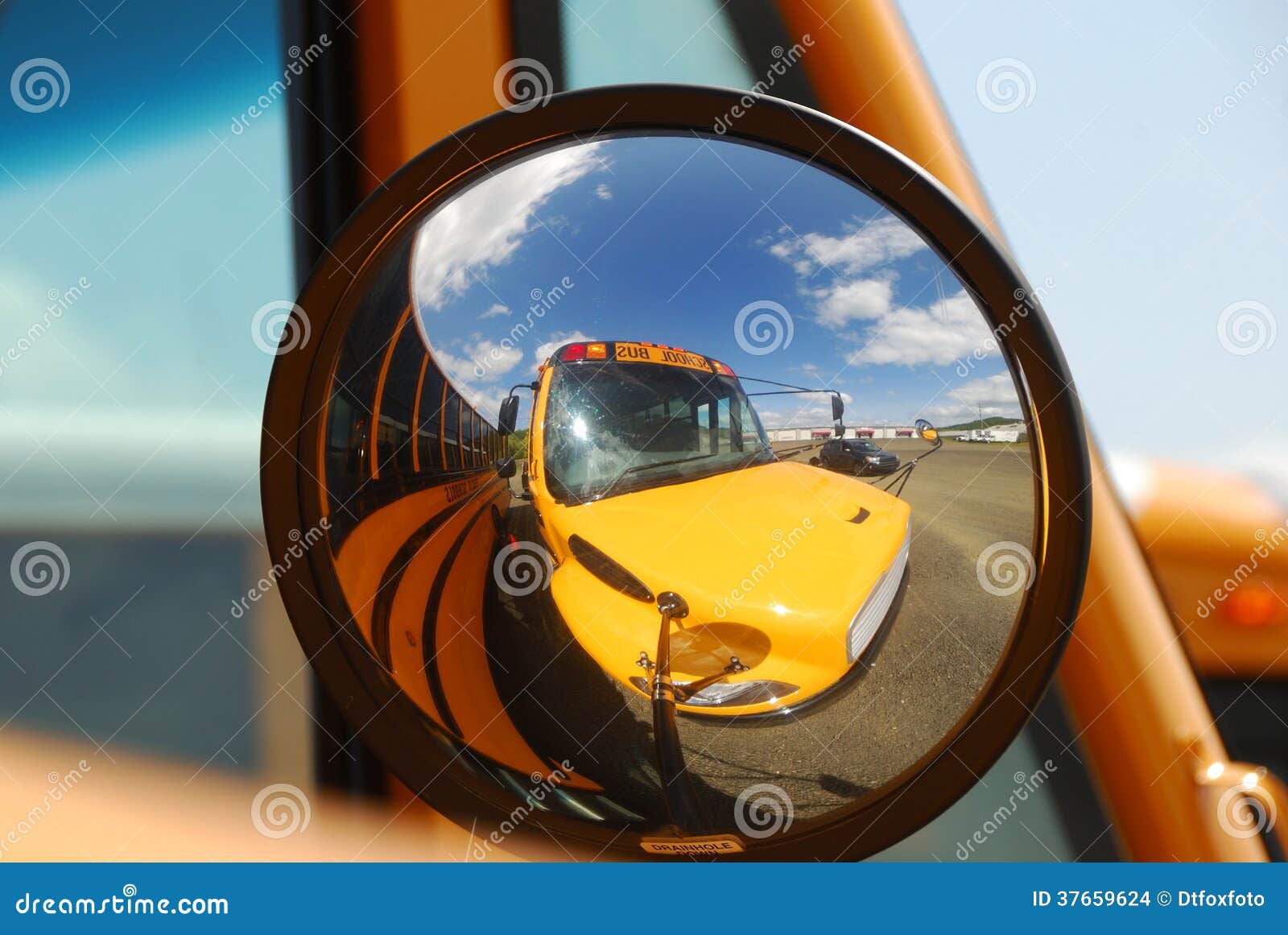 School Bus stock photo. Image of ride, american, safe - 37659624