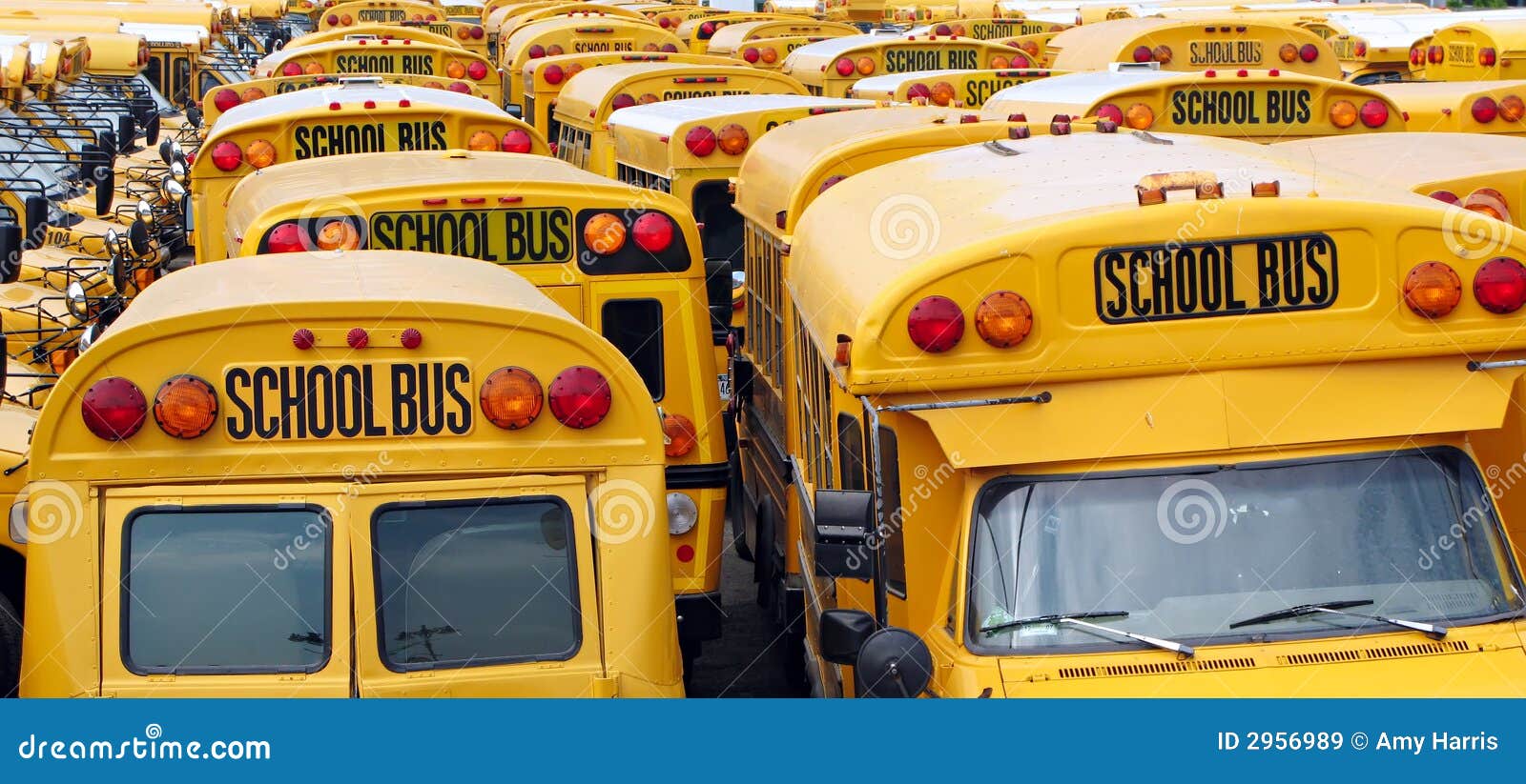 School Bus Yard stock image. Image of windows, doors, childhood - 2956989