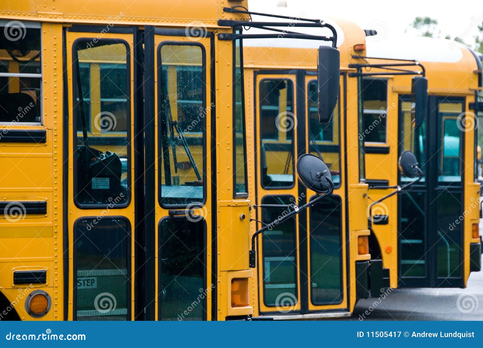 School buses stock image. Image of transit, buses, public - 11505417