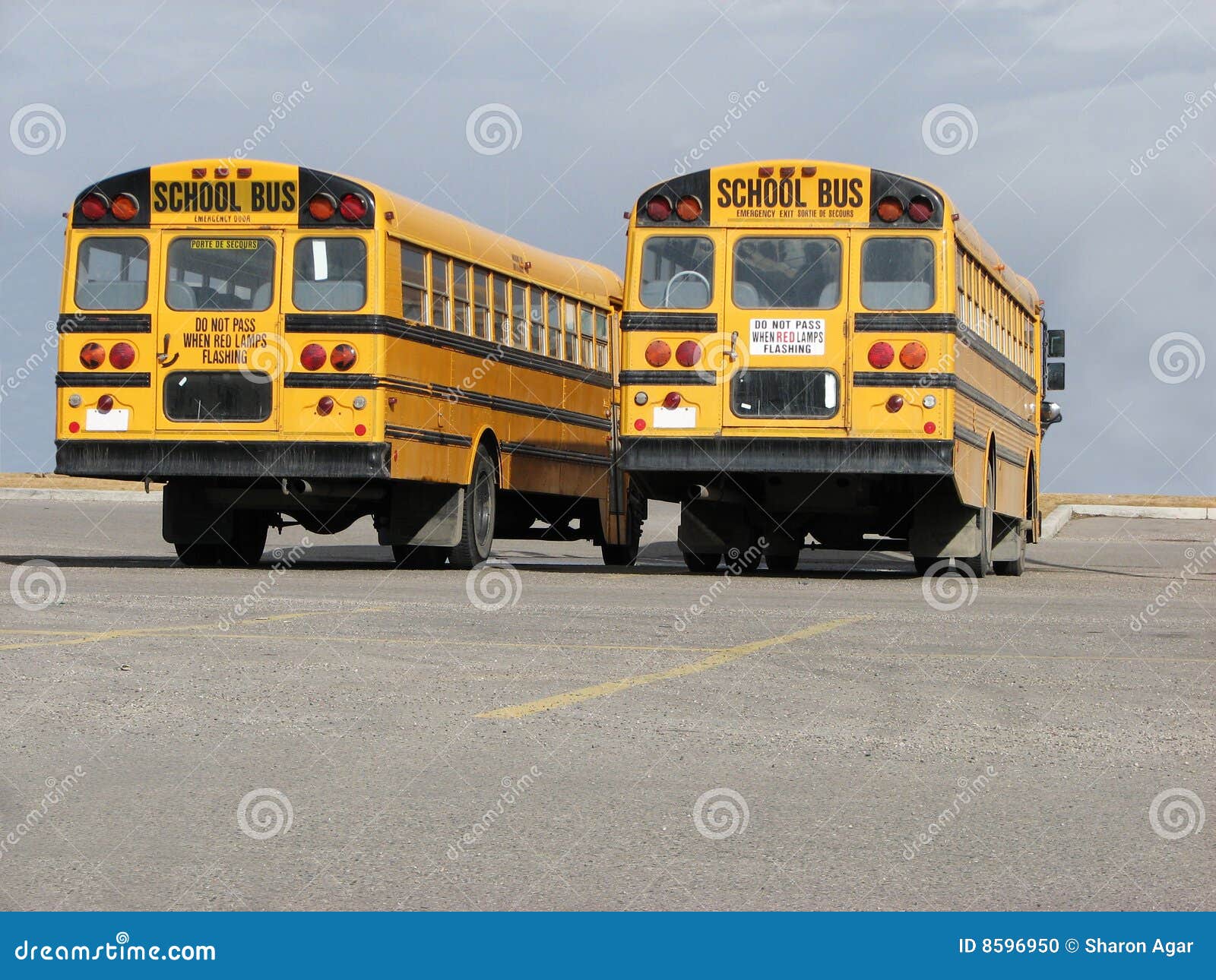 School Buses - 2 (back-end View) Stock Photo - Image of buses ...