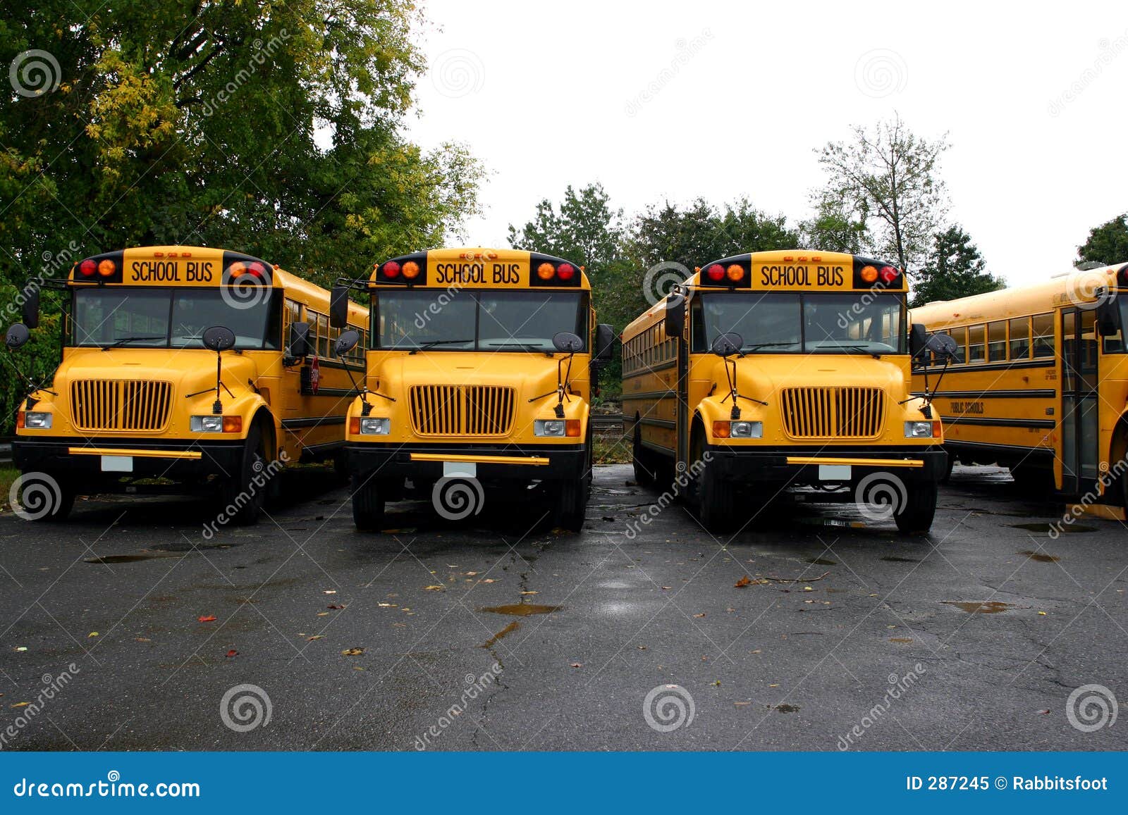 School Buses stock image. Image of youngster, school, park - 287245