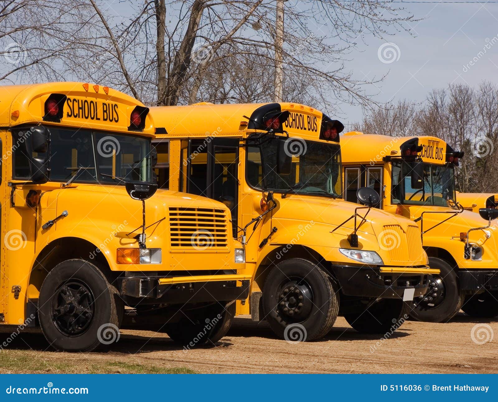 School Buses stock photo. Image of yellow, vehicle, school - 5116036