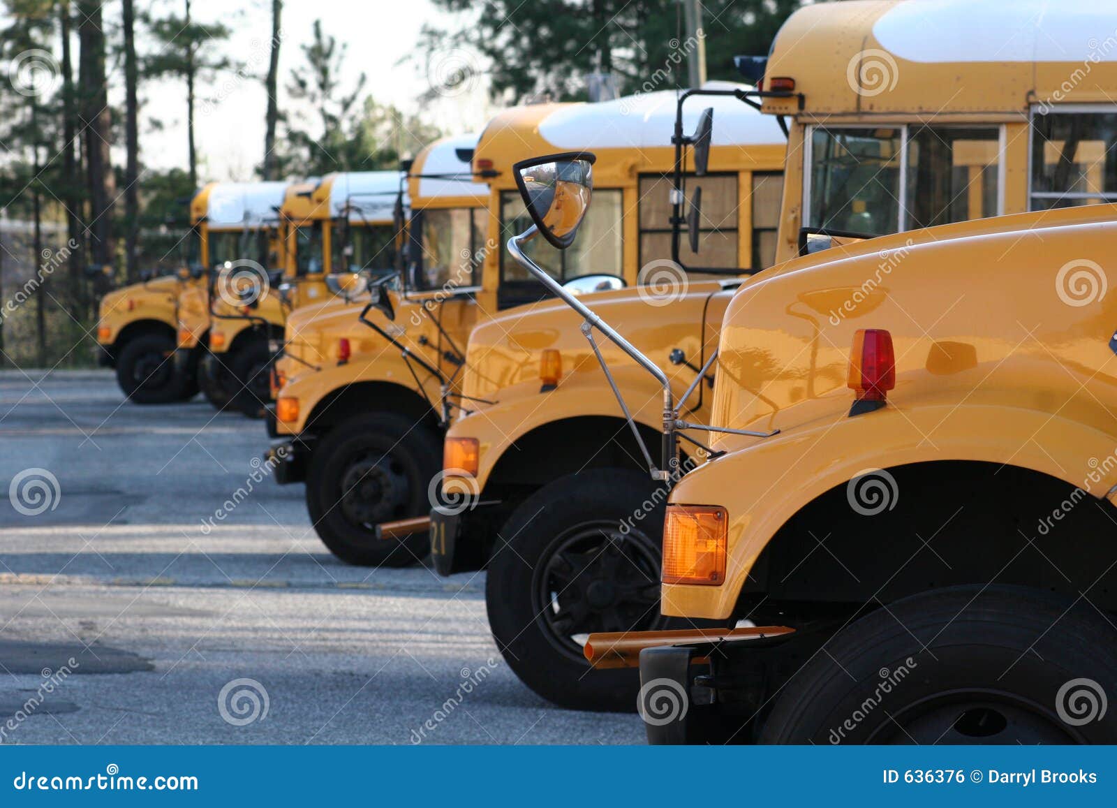 School buses stock photo. Image of shool, youth, transportation - 636376