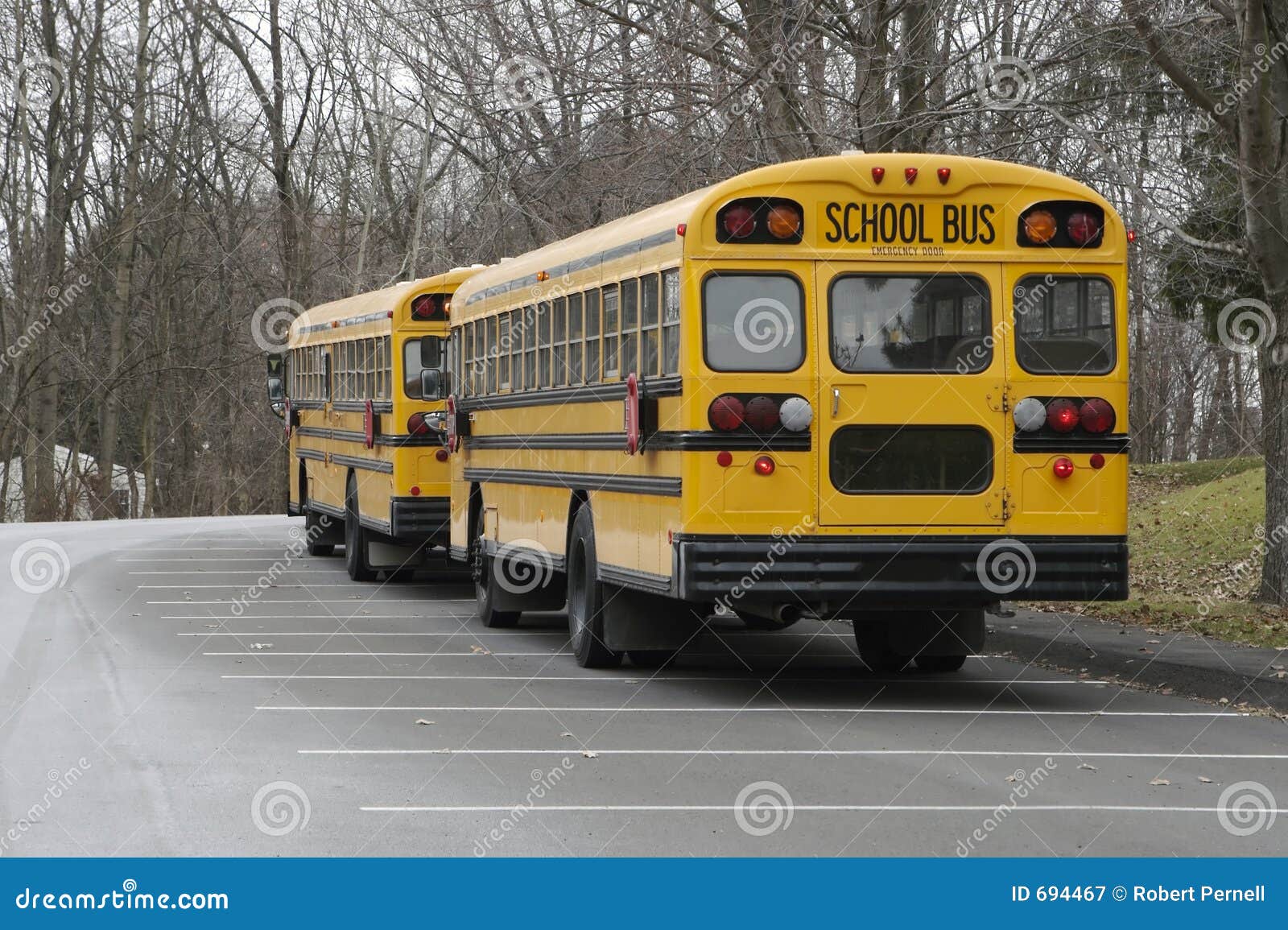School Buses stock image. Image of education, view, elementary - 694467