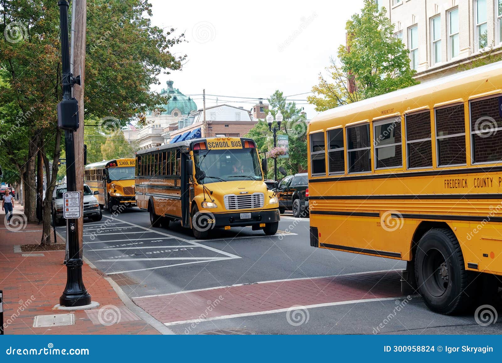 School Buses Cross an Intersection in the Center of a Small Town ...
