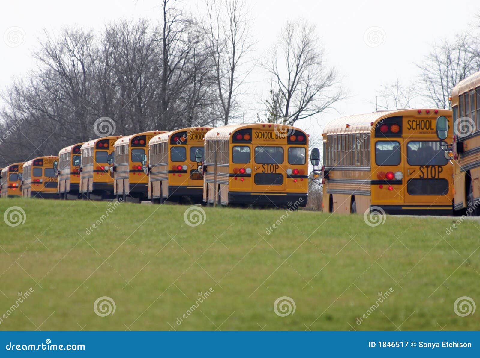 School Buses Driving in a Line Stock Image - Image of buses, commute ...