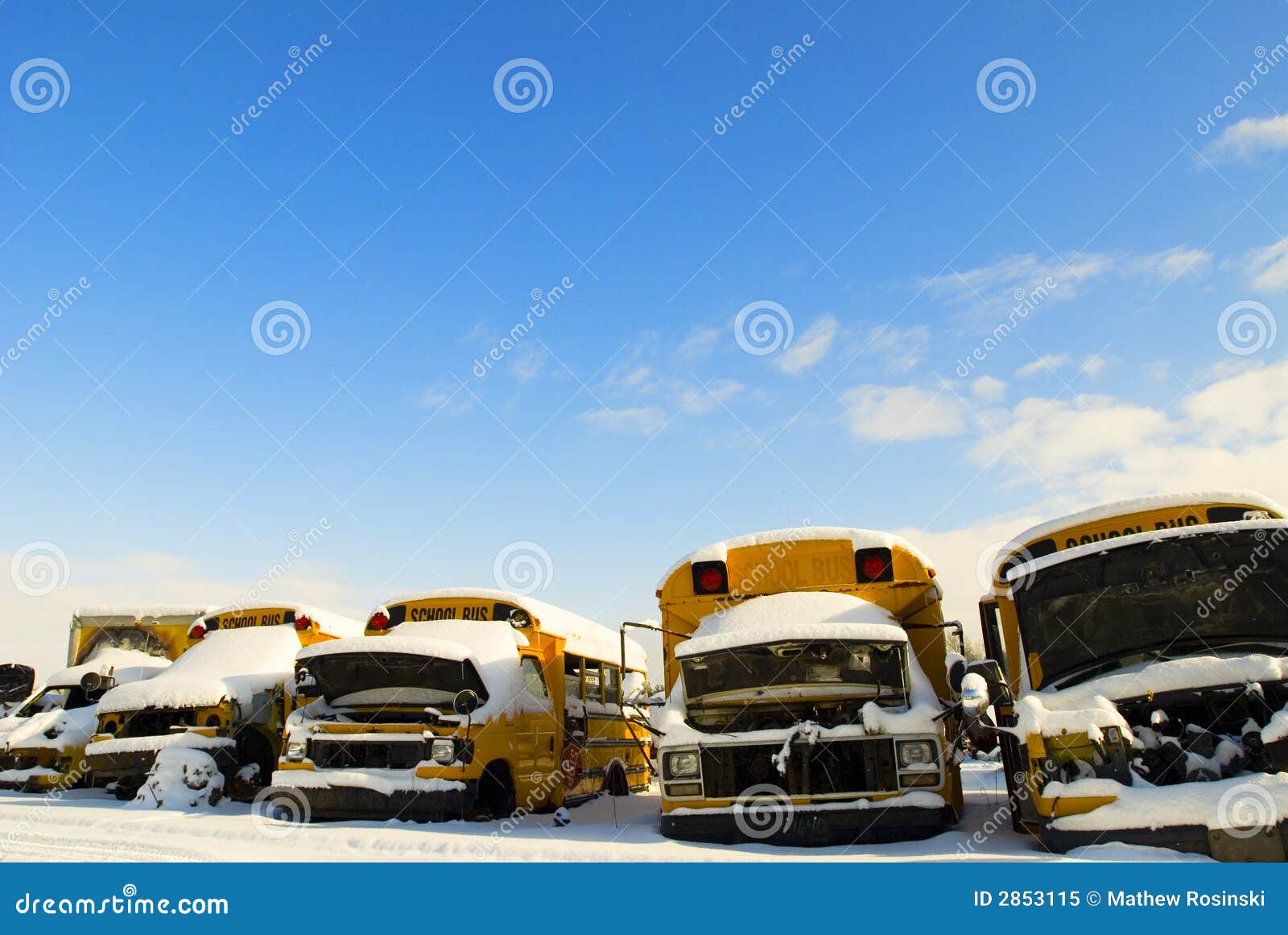 School Buses at a Junk Yard Stock Image - Image of blue, hoods: 2853115
