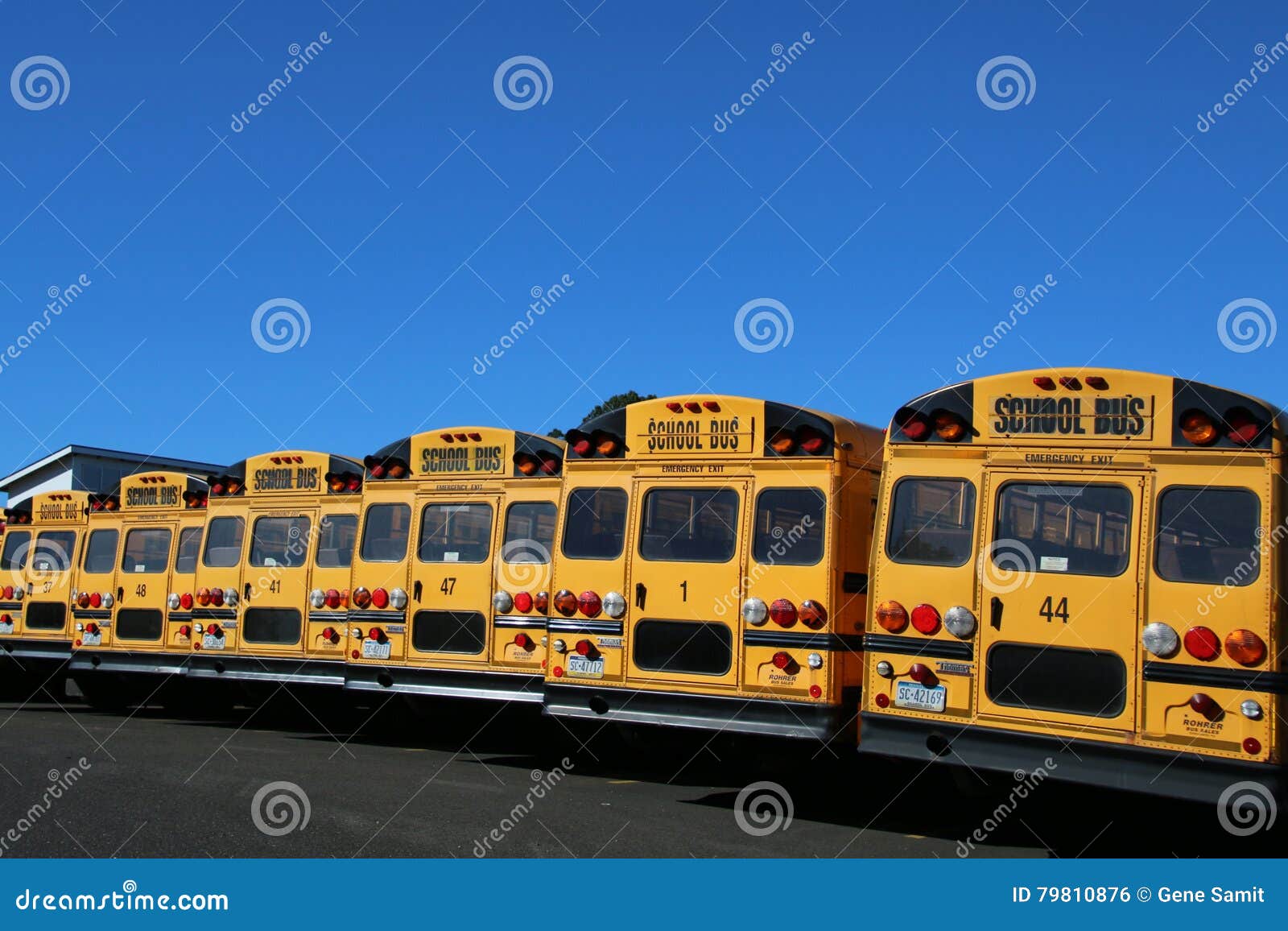School buses lined up. editorial photo. Image of lined - 79810876