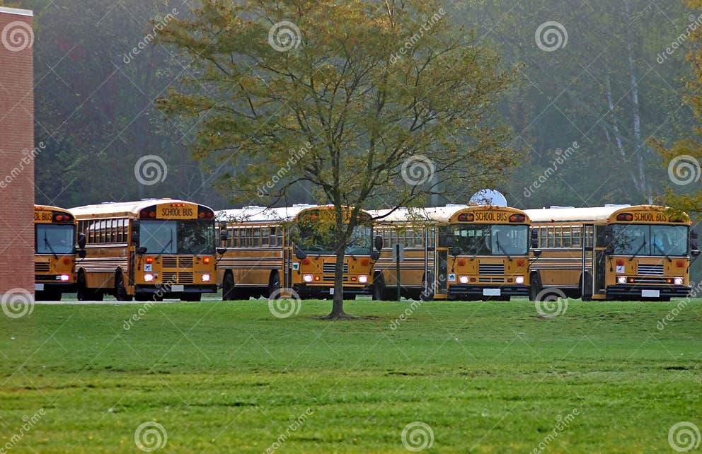 School Buses Parked stock image. Image of buses, community - 1371603